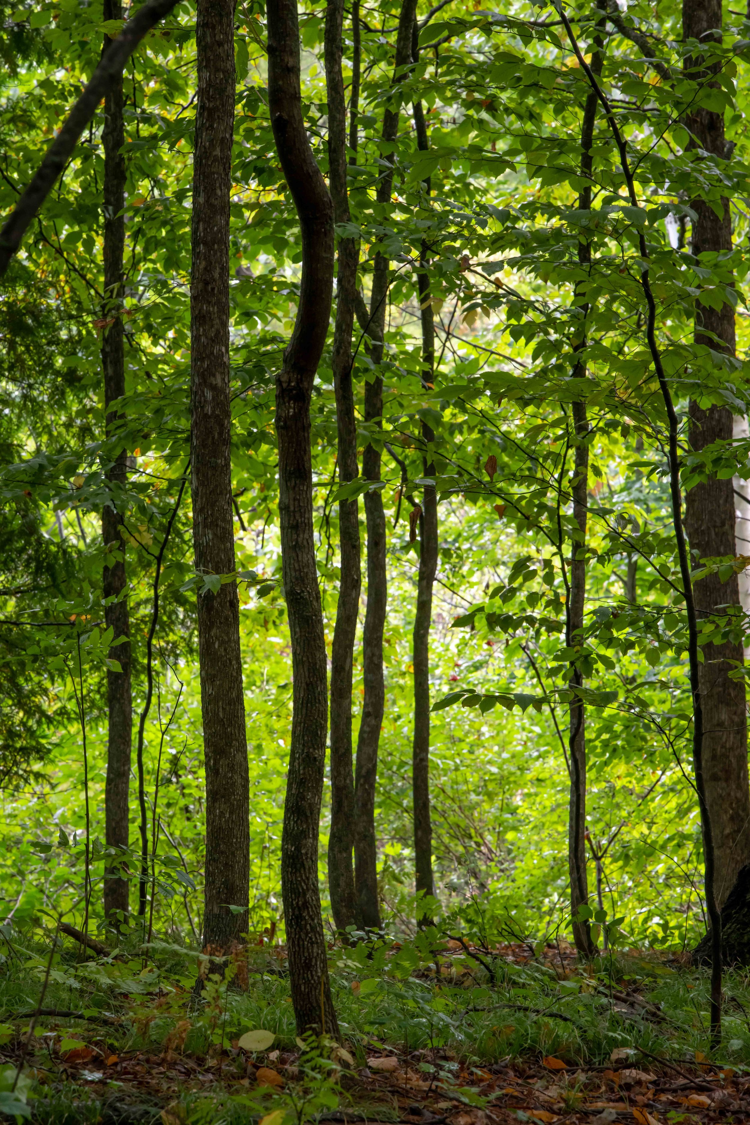 Featured Image — Roger Hart Photography