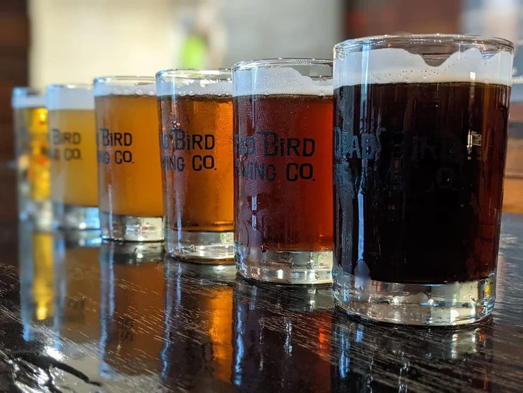 Dead Bird Brewing Co. | Experience Milwaukee's Vegan Arcade Brewery