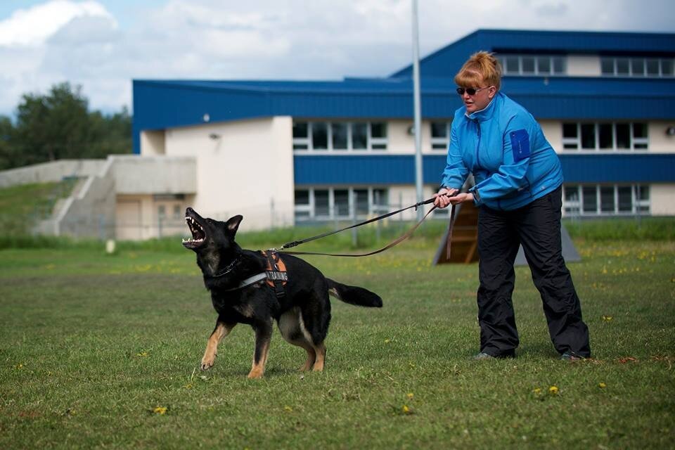 Our Team — Alaska Dog Boarding & Training