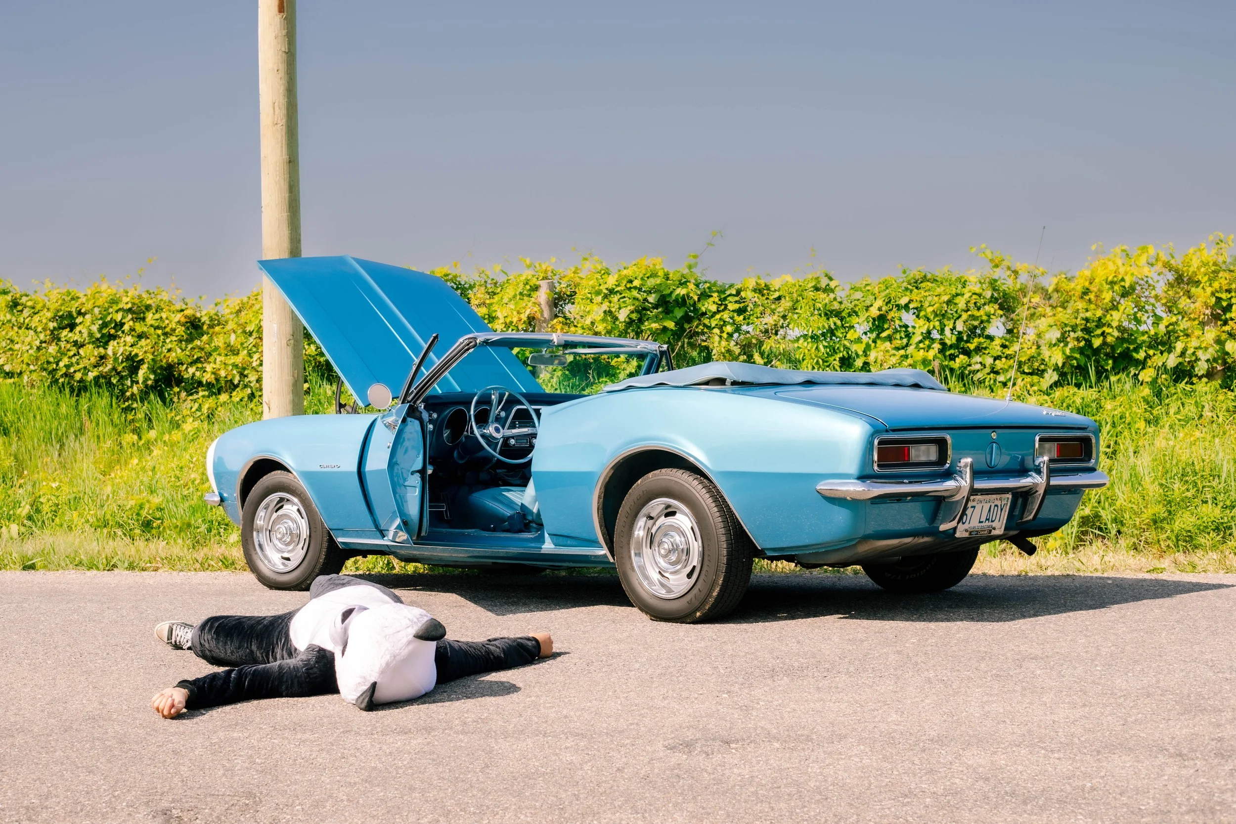 MICO – Official Website