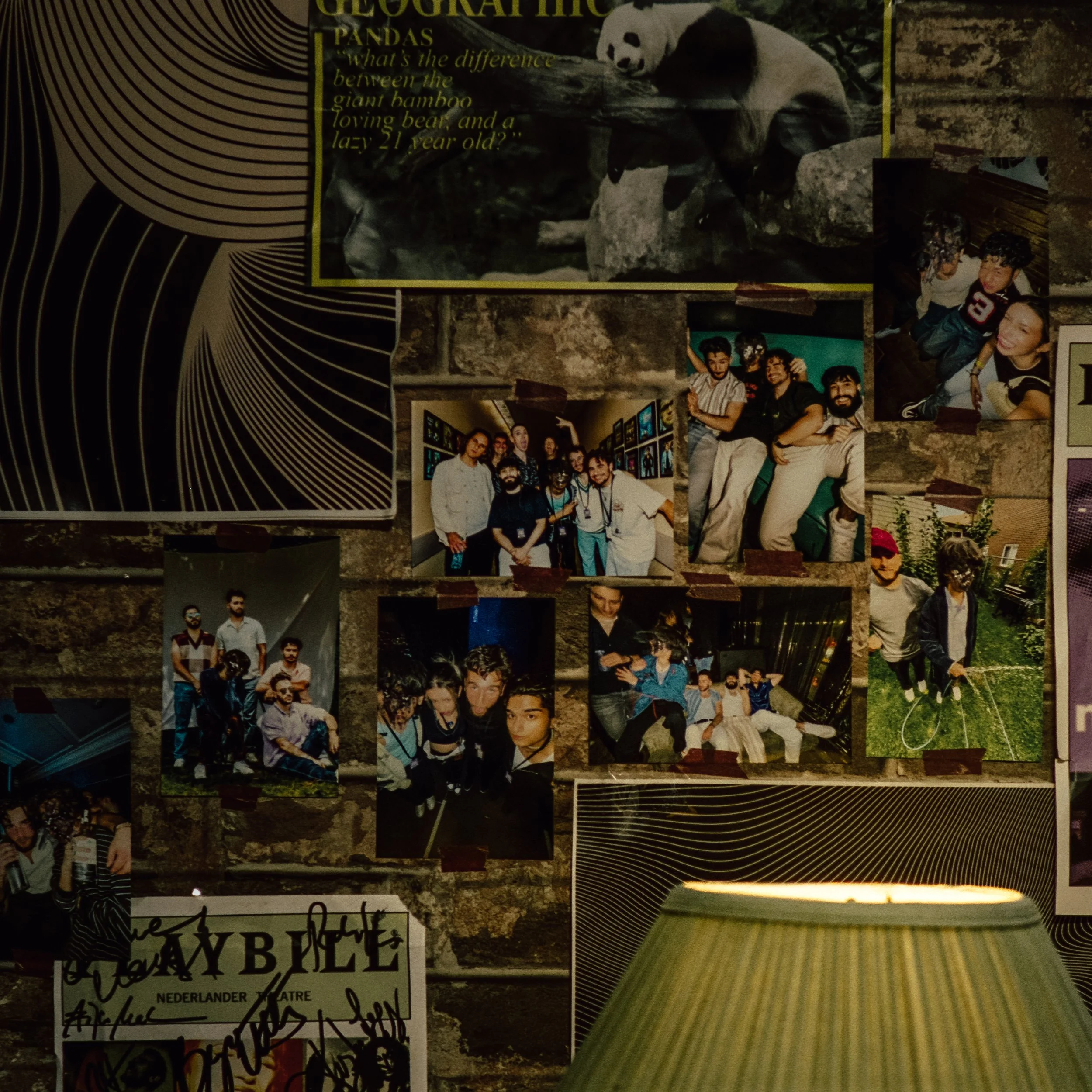 MICO – Official Website