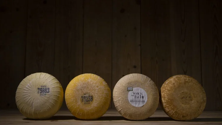 Interview – Bath Soft Cheese — Made in Bath
