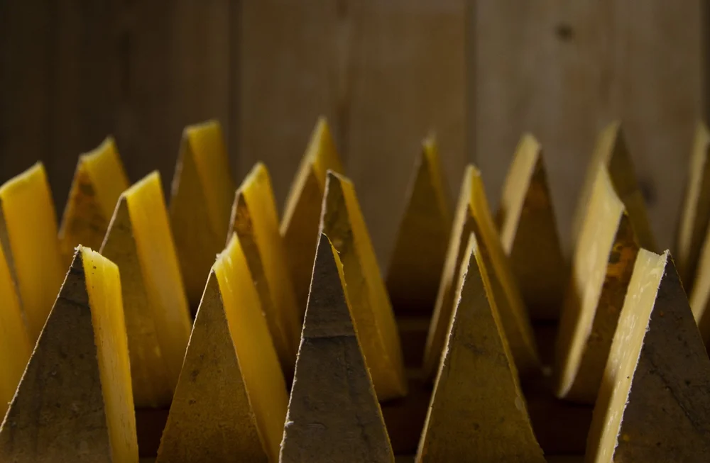 Interview – Bath Soft Cheese — Made in Bath