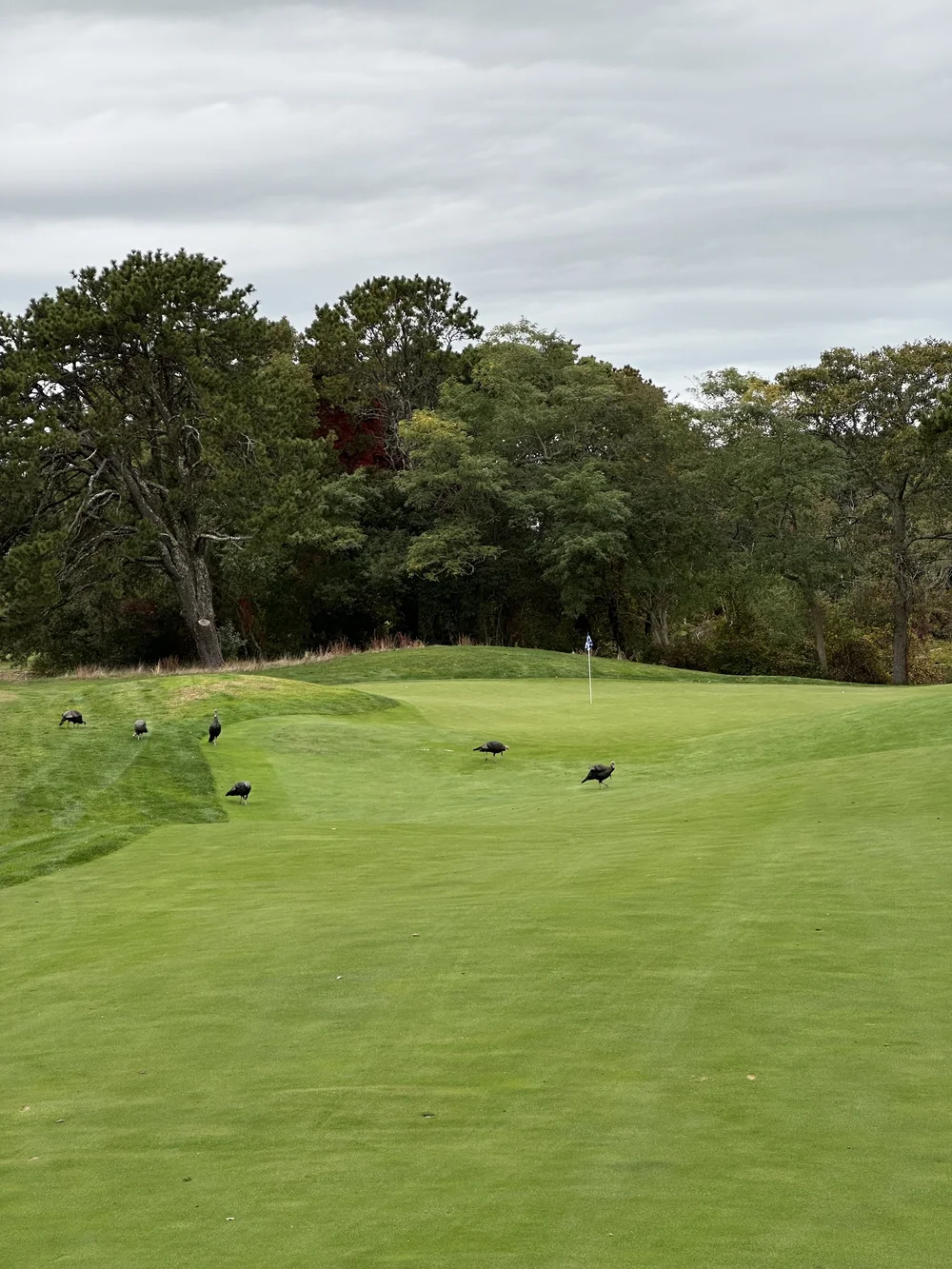 Ocean Edge — Cape Cod Golf Guys