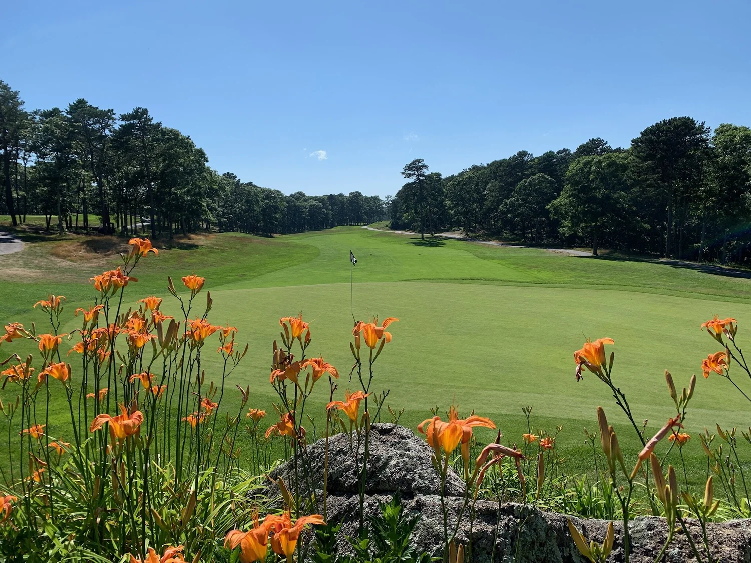 Course Reviews — Cape Cod Golf Guys