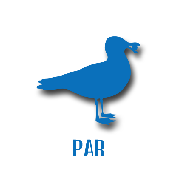 Kings Way — Cape Cod Golf Guys