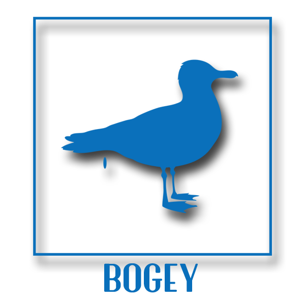 Falcon Golf Course — Cape Cod Golf Guys