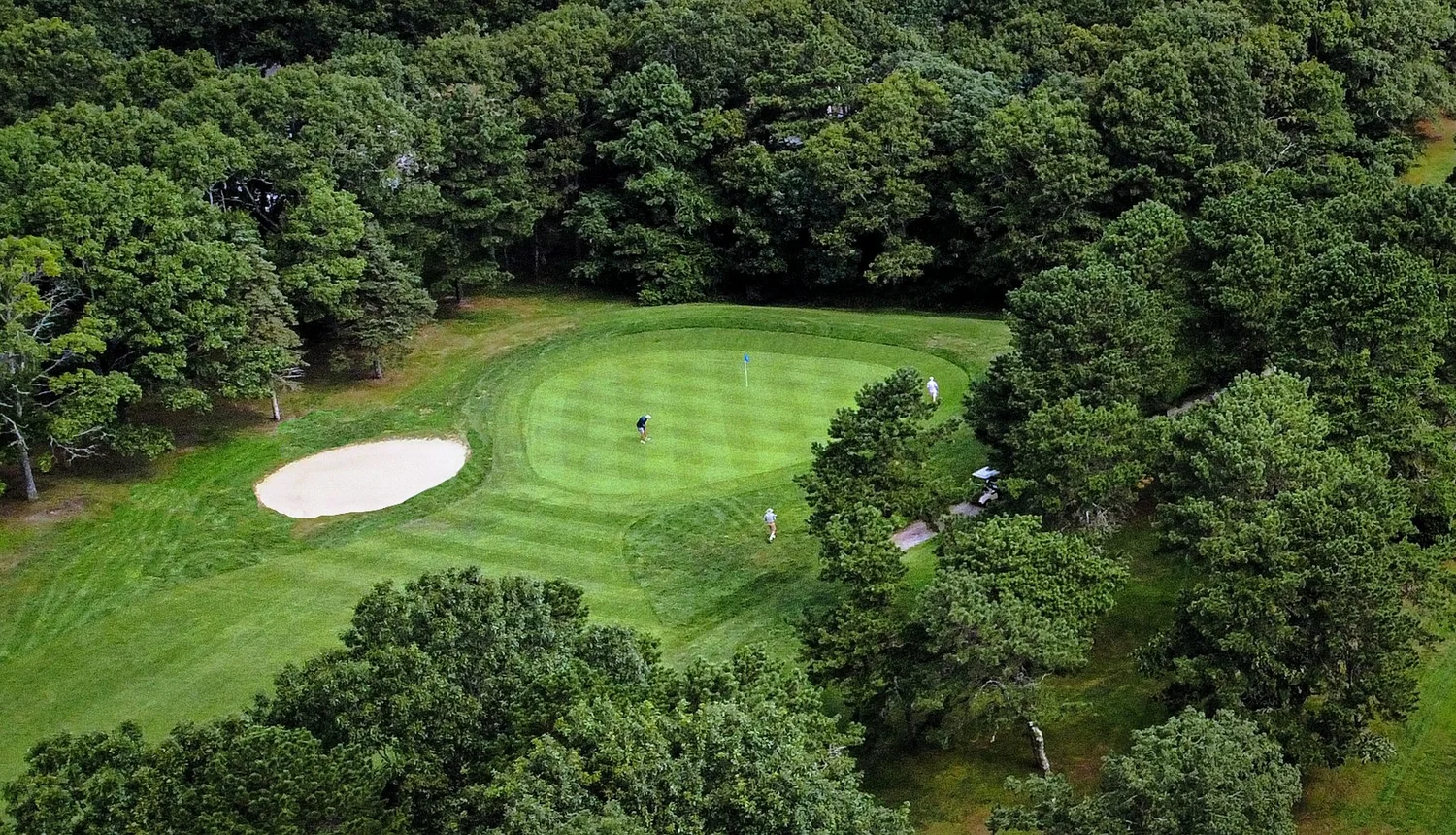 Paul Harney — Cape Cod Golf Guys