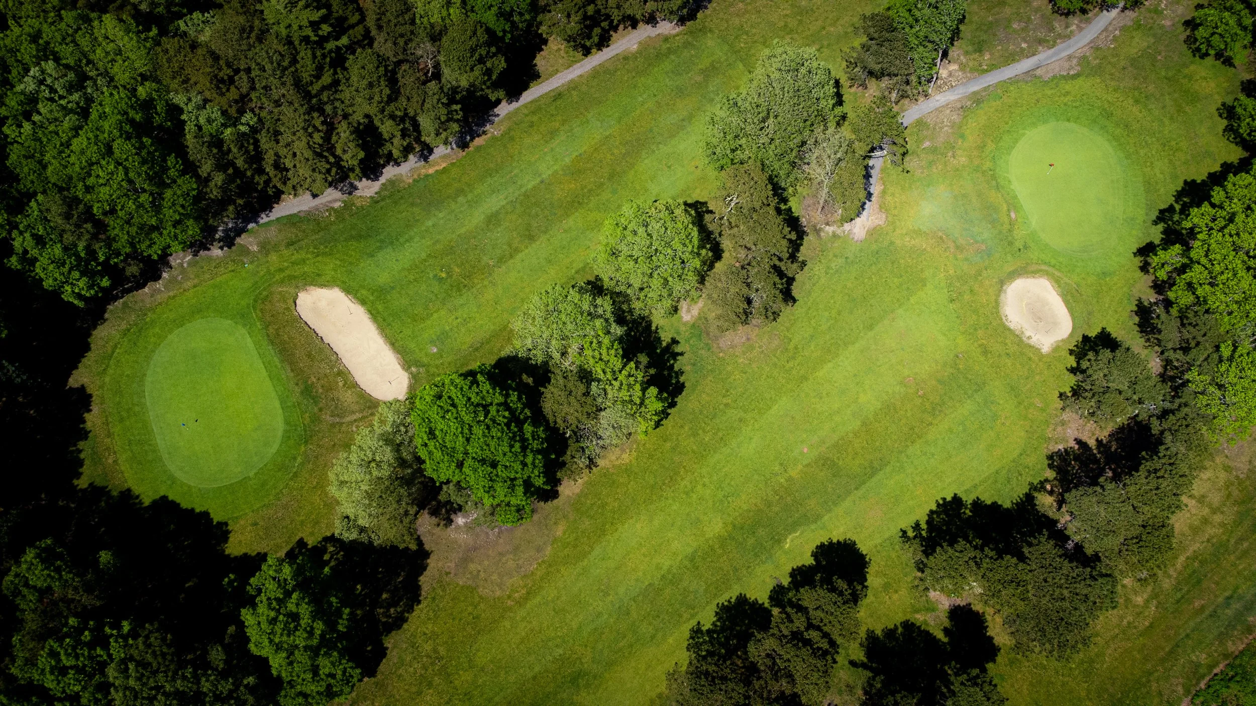 Paul Harney — Cape Cod Golf Guys