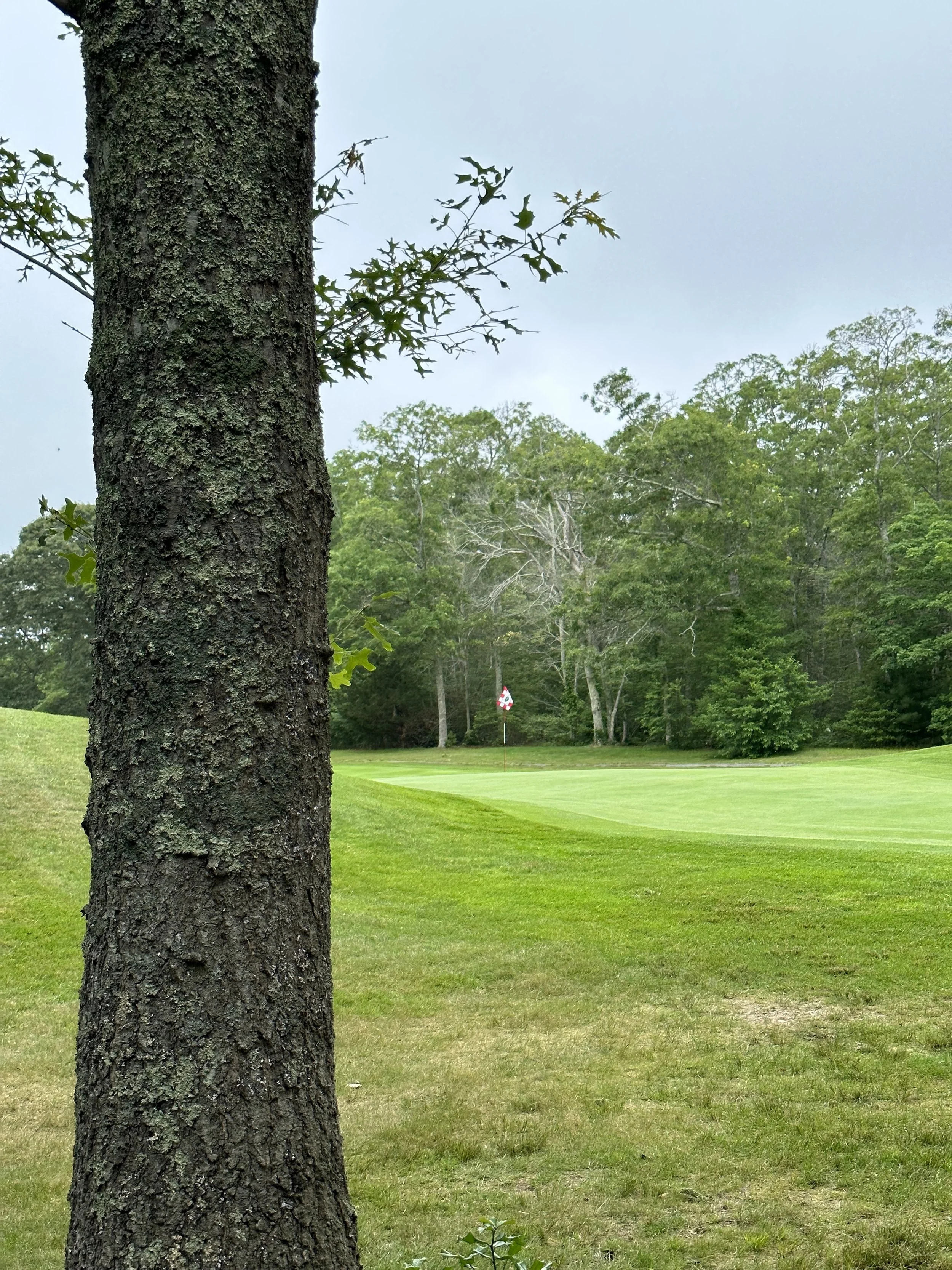 Holly Ridge — Cape Cod Golf Guys