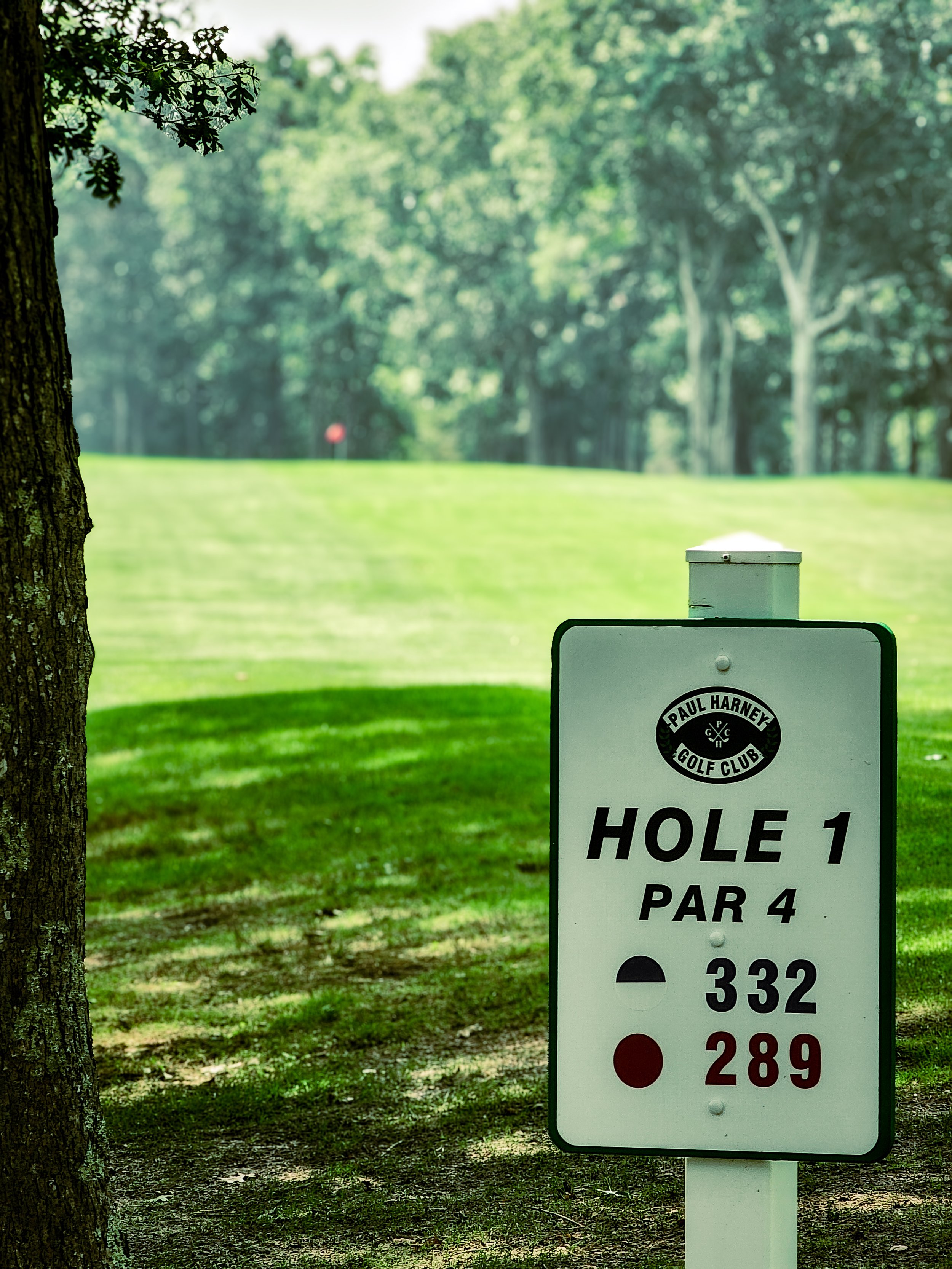 Paul Harney — Cape Cod Golf Guys