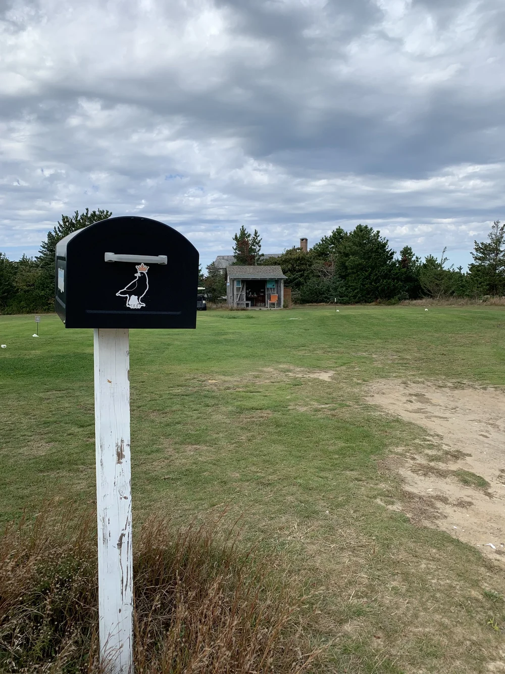 Royal Chappy — Cape Cod Golf Guys