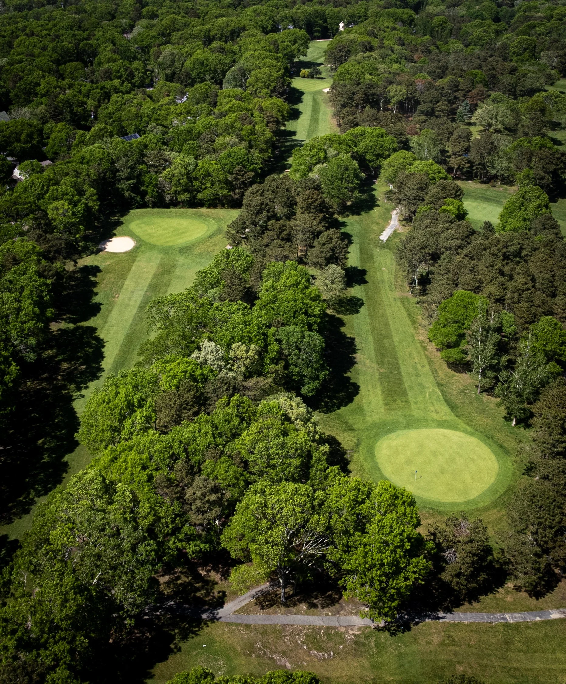 Paul Harney — Cape Cod Golf Guys