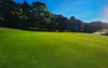 Paul Harney — Cape Cod Golf Guys
