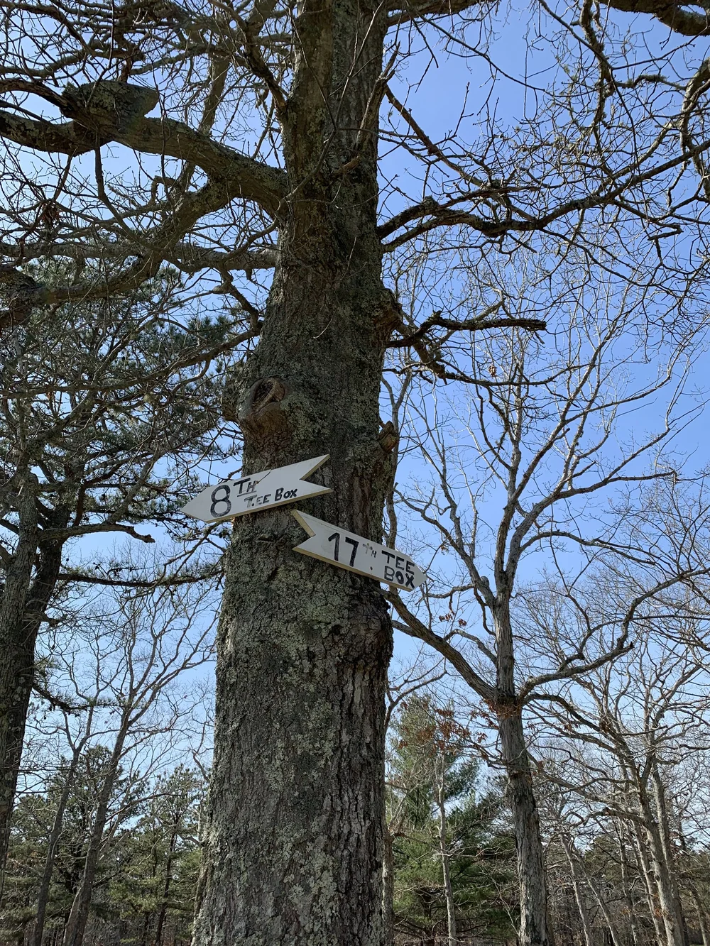 Falcon Golf Course — Cape Cod Golf Guys