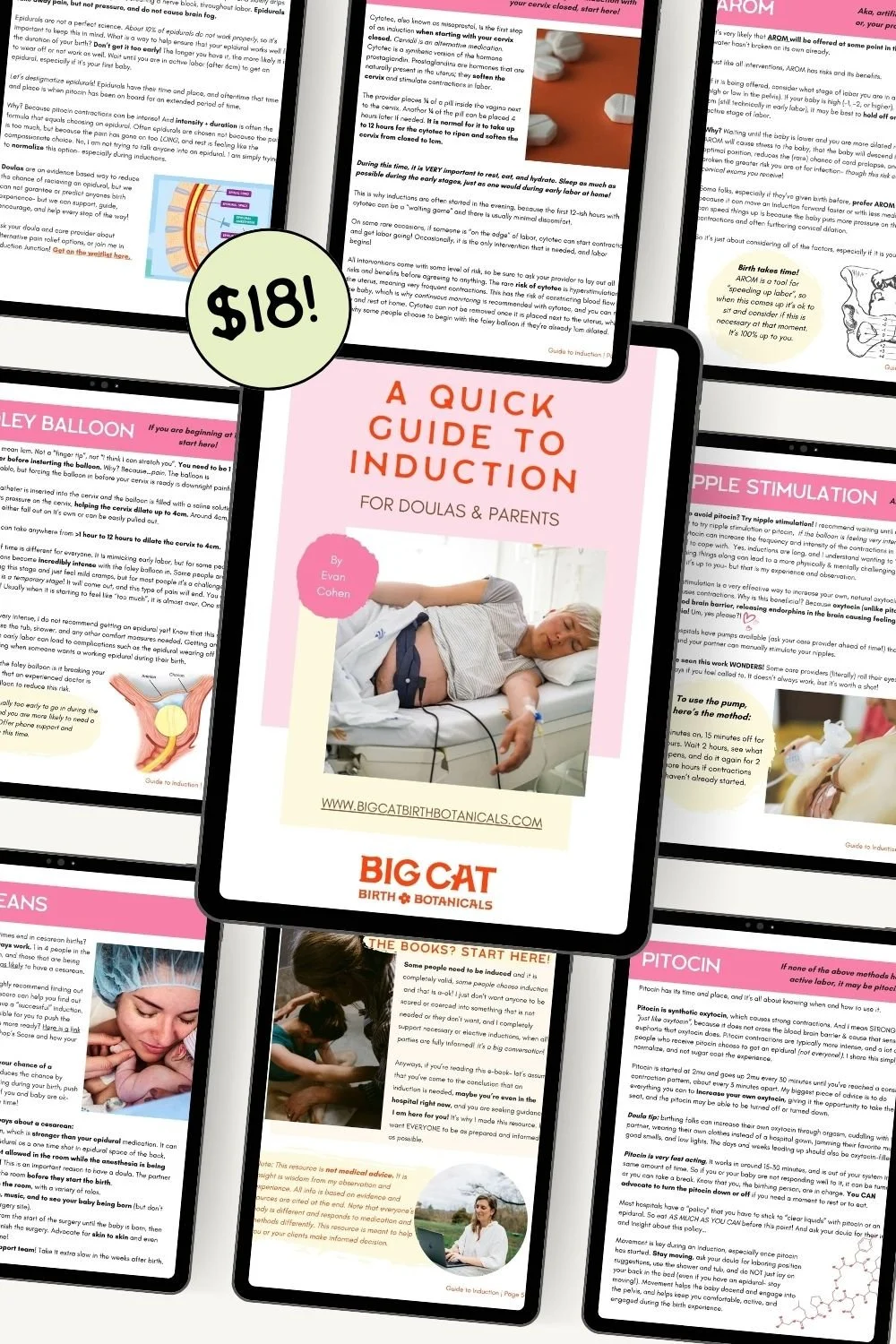 Guide to Inductions — Big Cat Birth and Botanicals