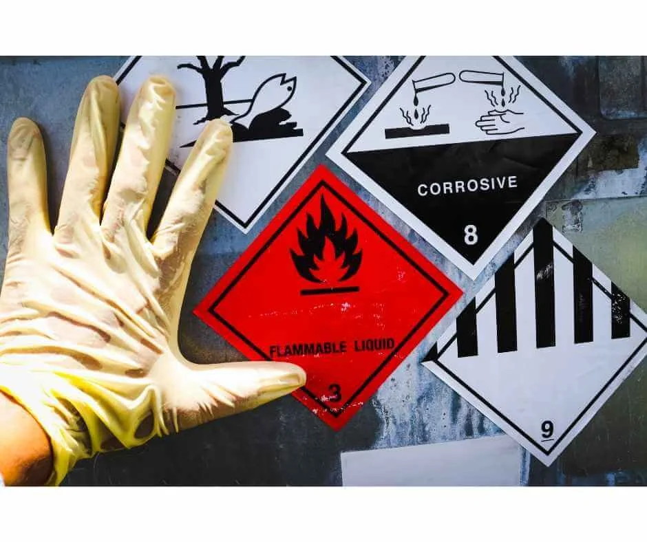 Endocrine Disruptors Explained: How Everyday Toxins Affect Your ...