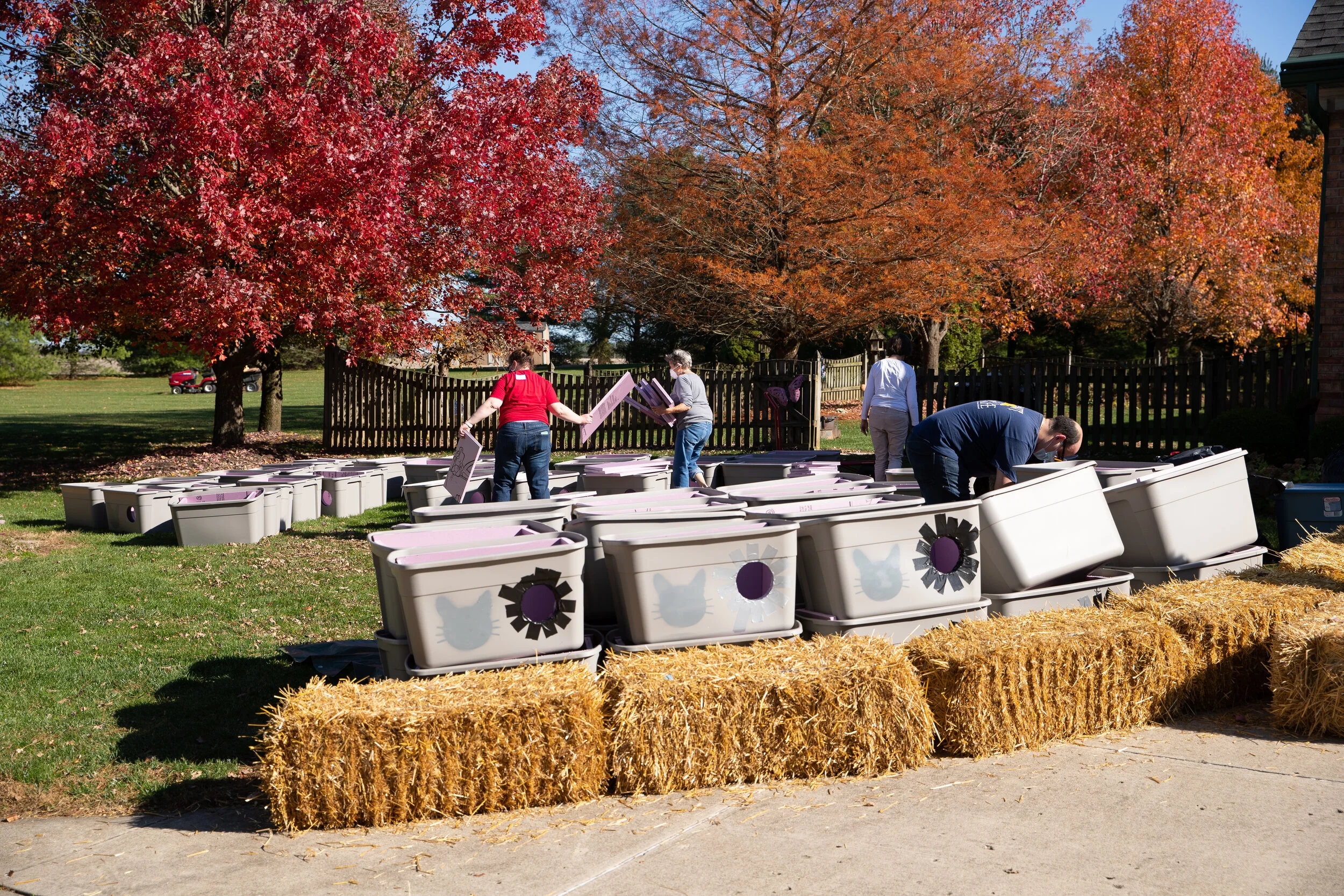 Events — Batta Cats