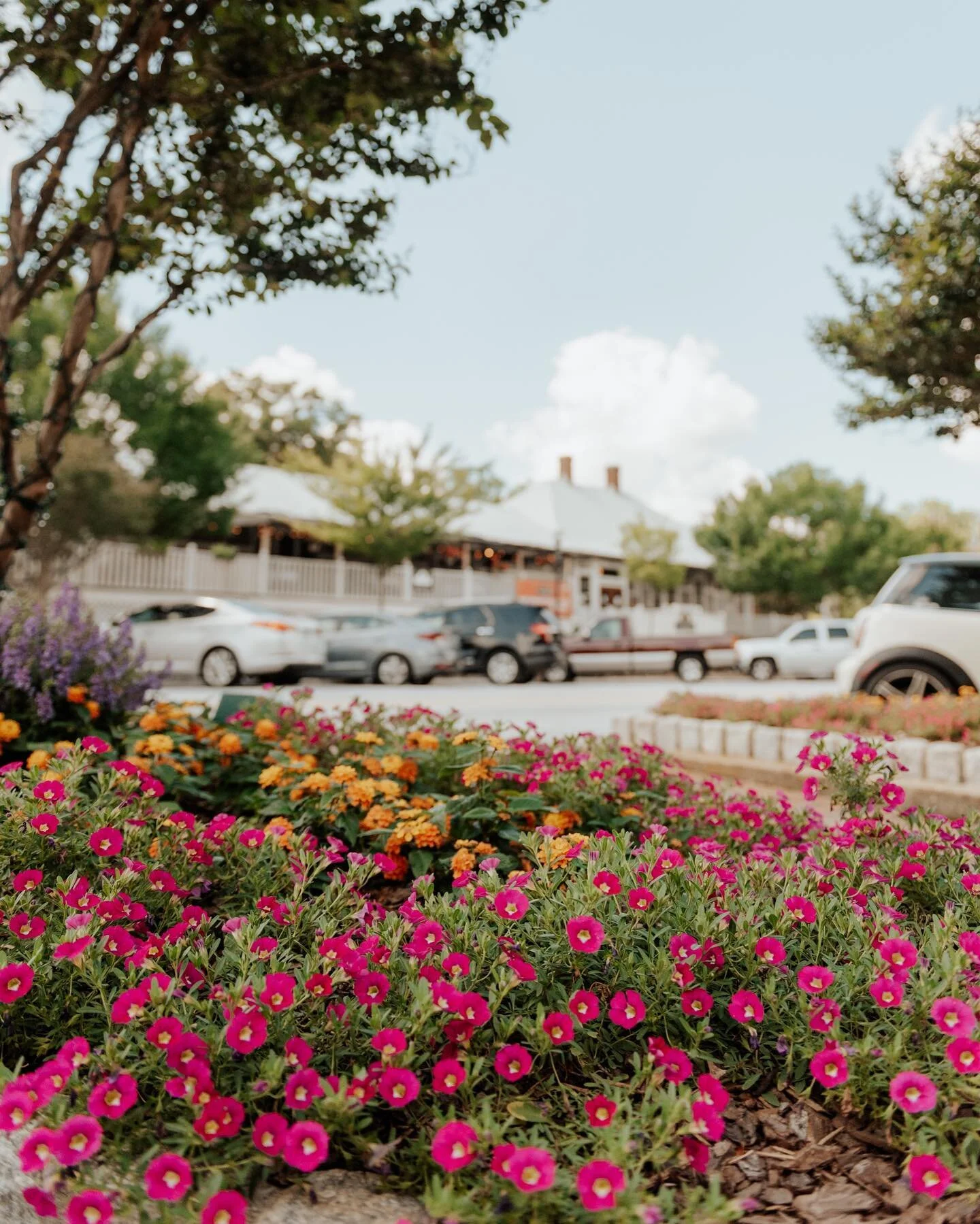 The Heart of Norcross