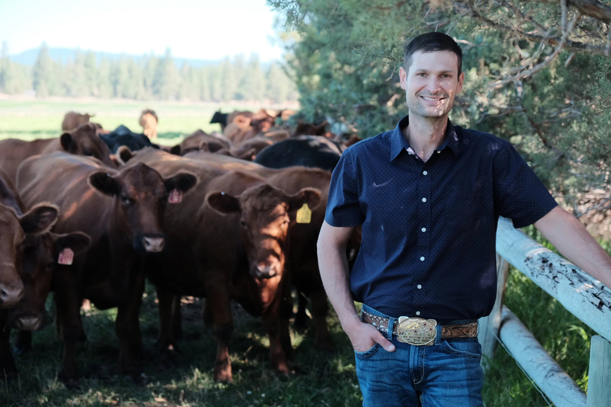 Pole Creek Ranch - Red Angus Beef From Our Ranch to Your Home