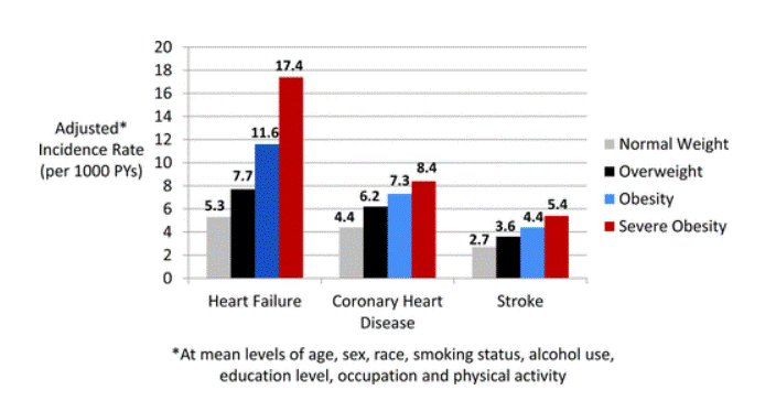 The Complexities of Obesity, A modern Perspective Pt.1 What is Obesity ...