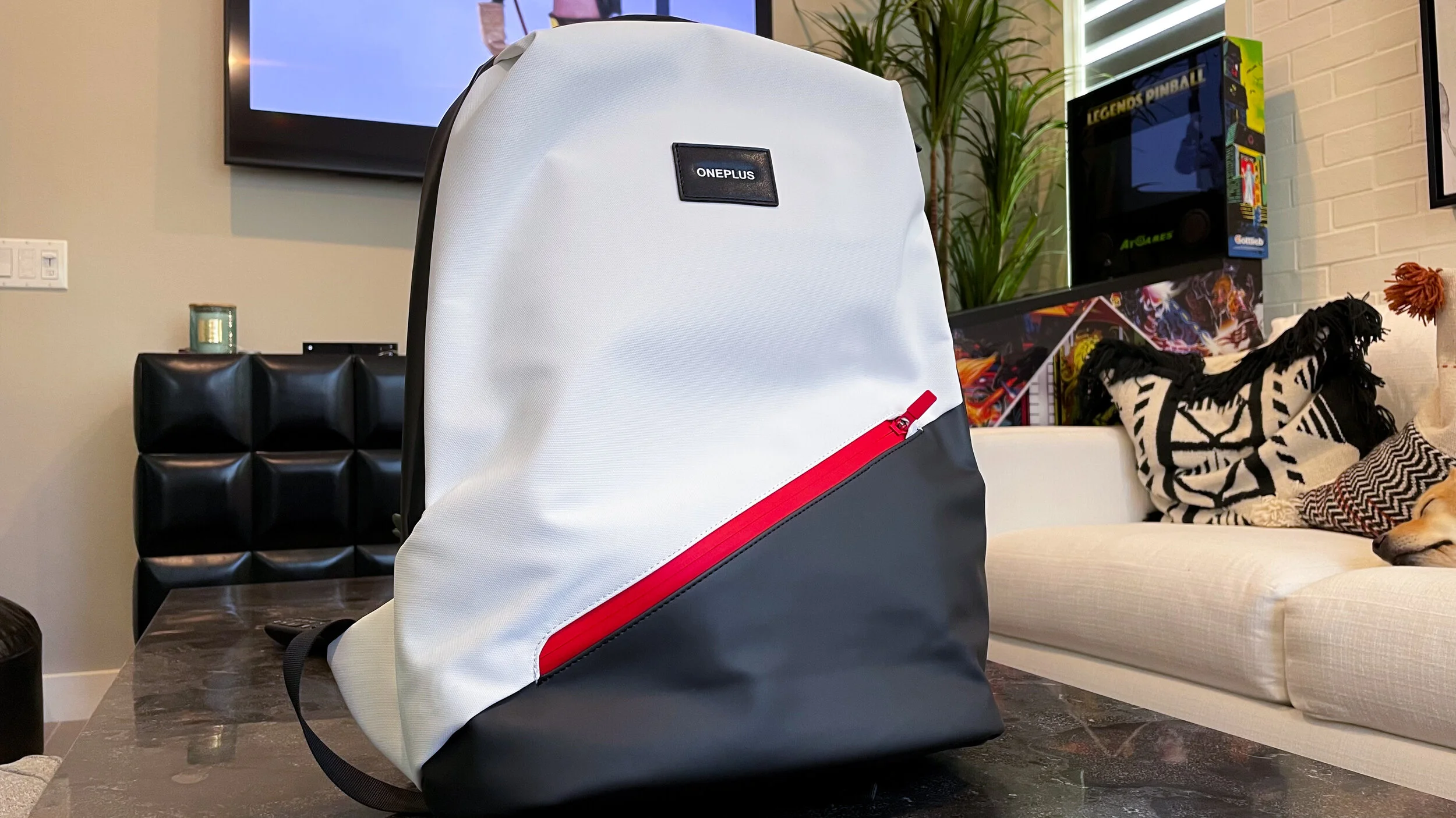 OnePlus Urban Traveler Backpack Review: Versatilely Perfect — Sypnotix