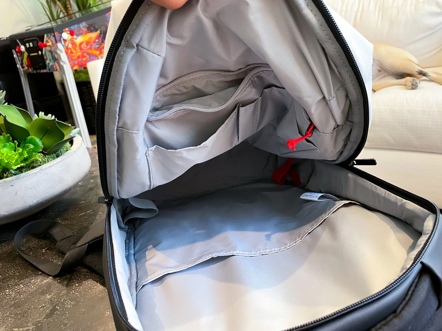 OnePlus Urban Traveler Backpack Review: Versatilely Perfect — Sypnotix