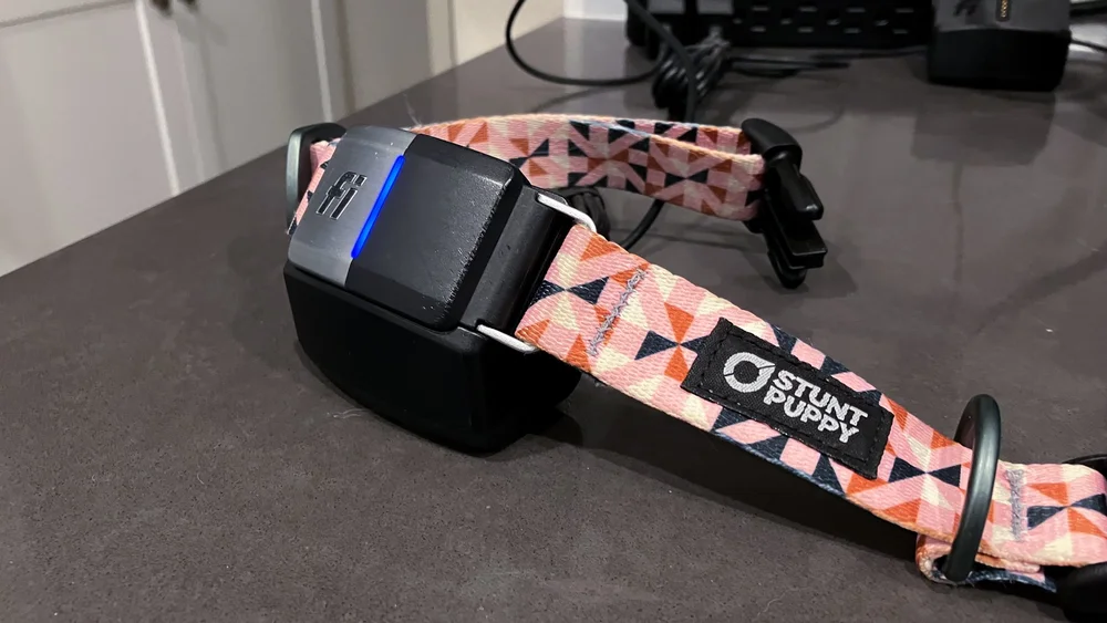 Fi Smart Dog Collar Series 2 Review: The Girls Are Home — Sypnotix