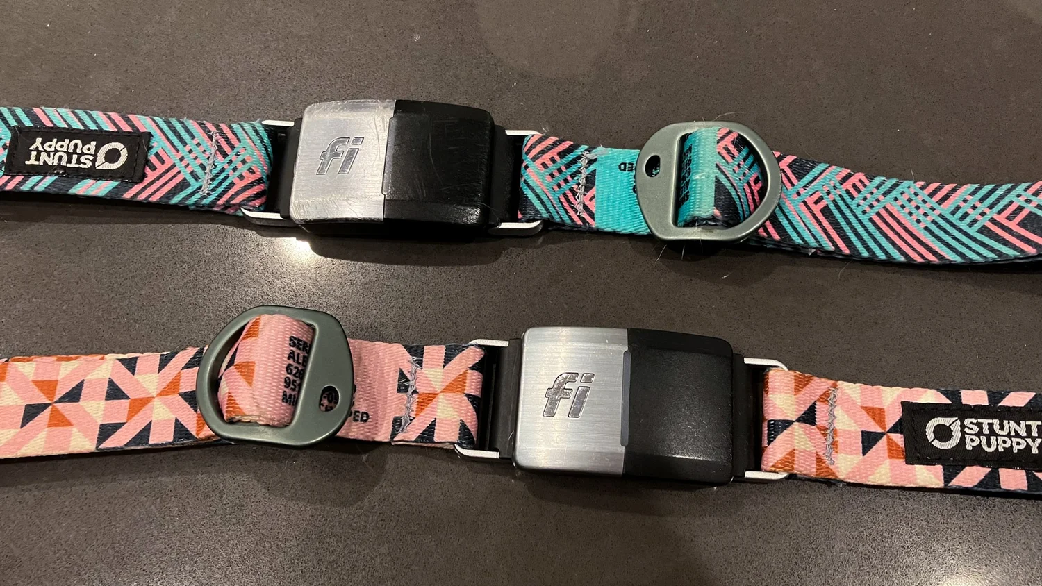 Fi Smart Dog Collar Series 2 Review: The Girls Are Home — Sypnotix