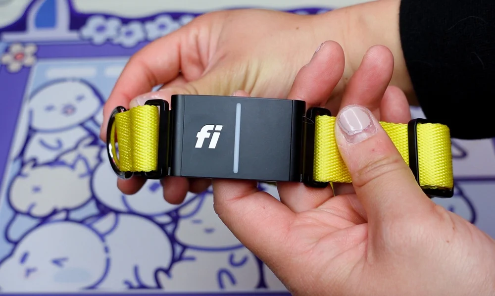 Fi Series 3 Smart Collar Review: Track Your Dog Like Never Before ...