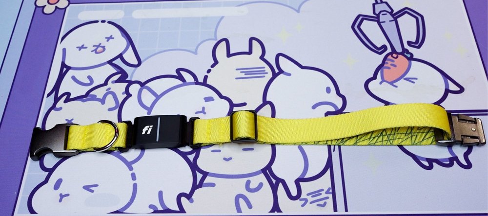 Fi Series 3 Smart Collar Review: Track Your Dog Like Never Before ...