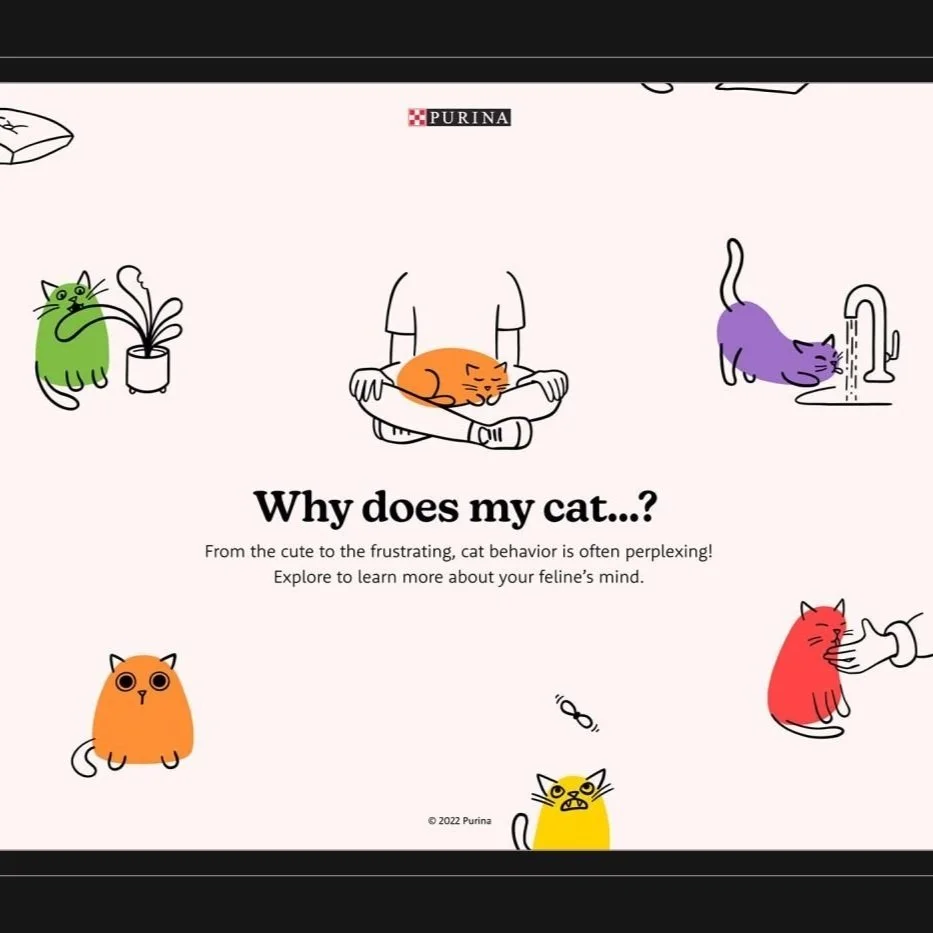 WBDS Student Design Awards 2019/20 Winners – A Global Student Design ...