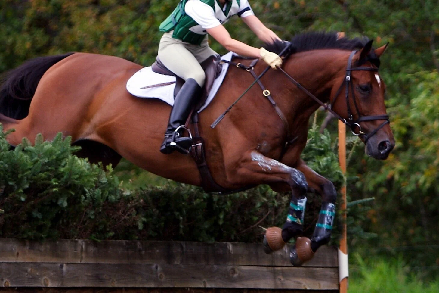 Eggzamin® FEC Test Kits