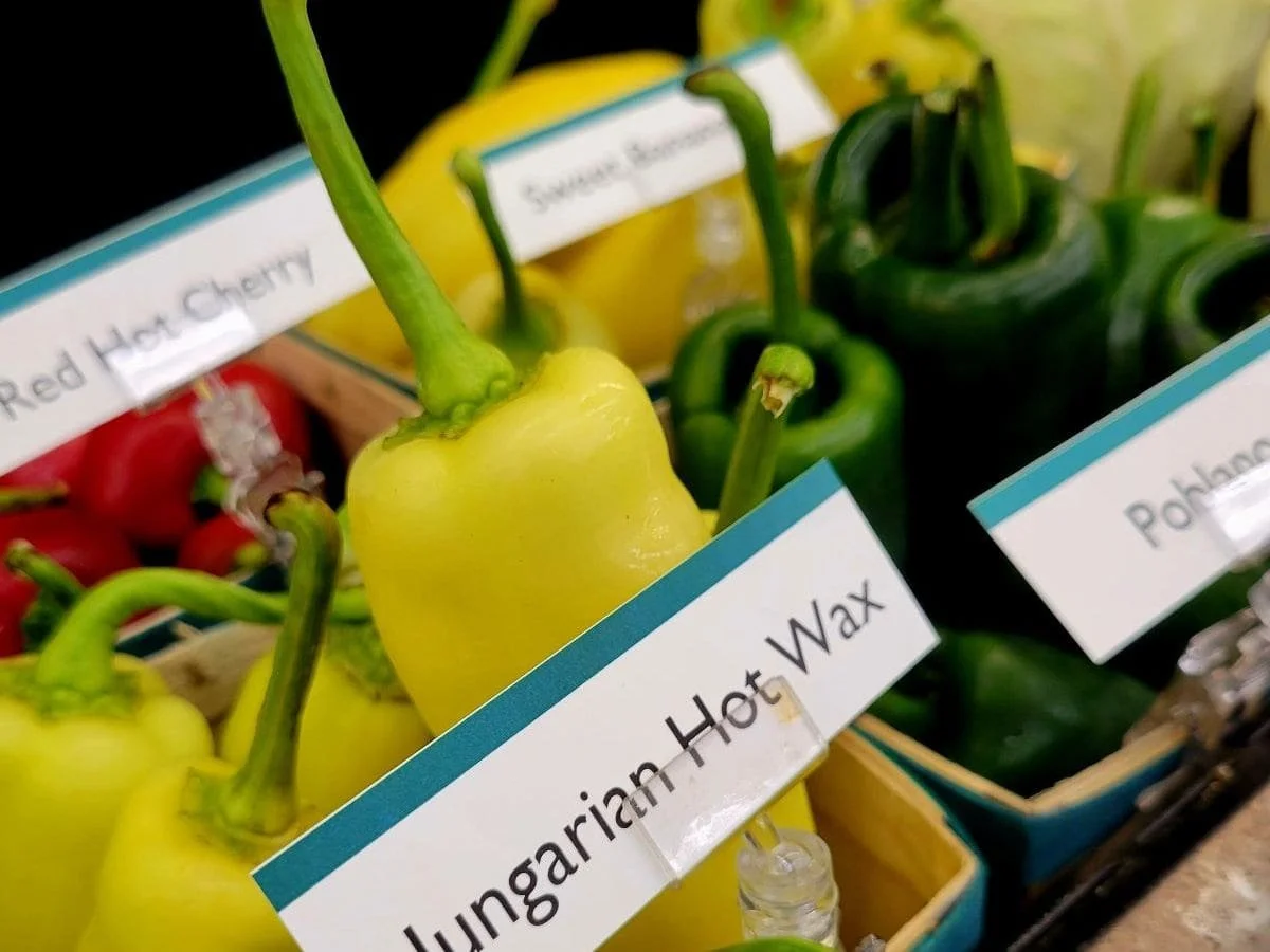 Things in-store we're falling for 🍂 — PFC Natural Grocery & Deli