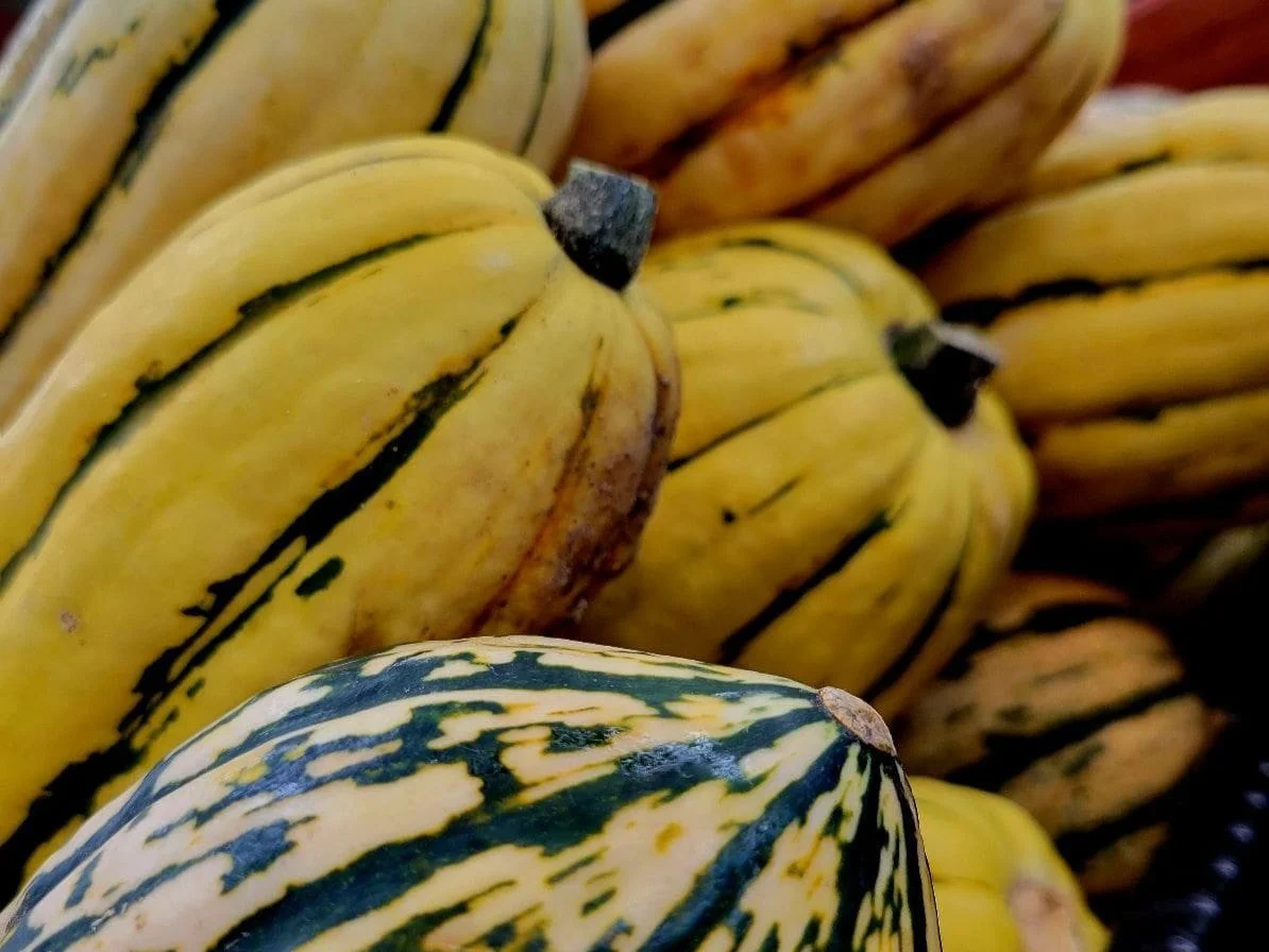 Things in-store we're falling for 🍂 — PFC Natural Grocery & Deli