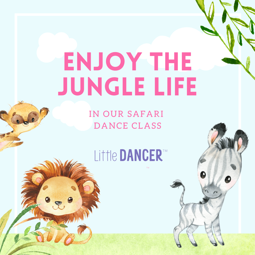 Little Dancer Curriculum — Once Upon a Ballet