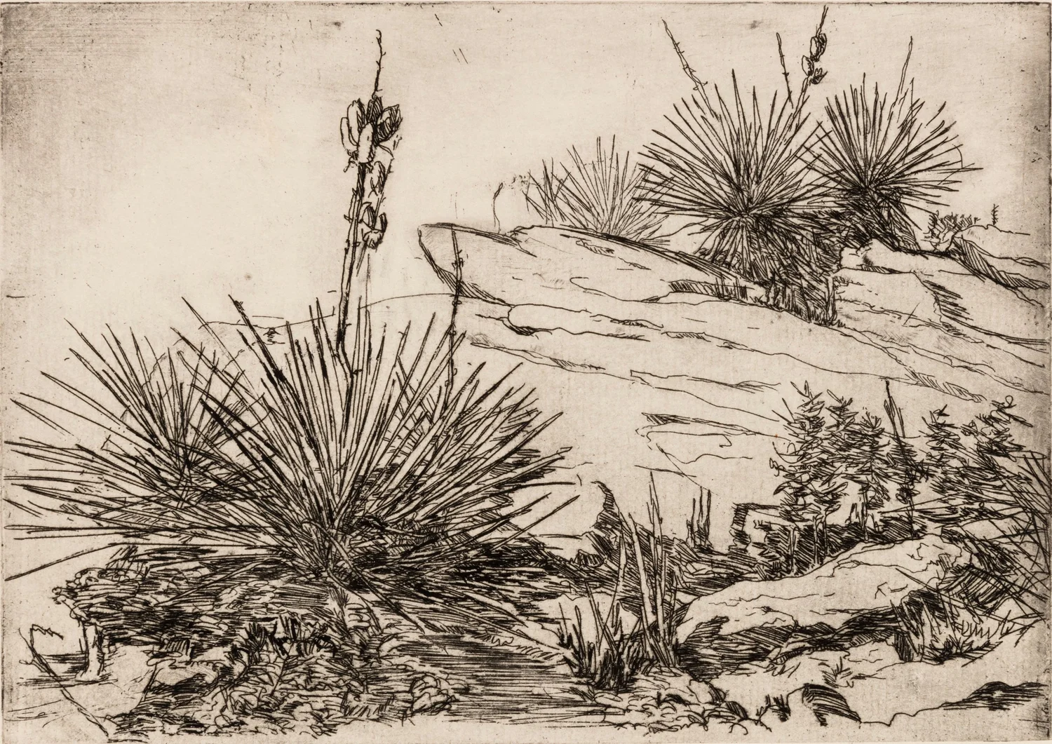 Clara Anna Hatton (1901-91) — Clara Hatton Center