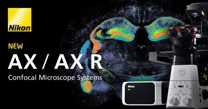 Confocal Images Correlation Of Ex Vivo And In Vivo Confocal Microscopy