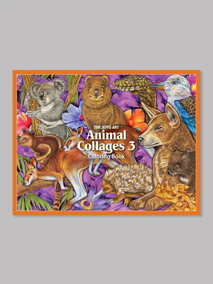 Shop — Tim Jeffs Art