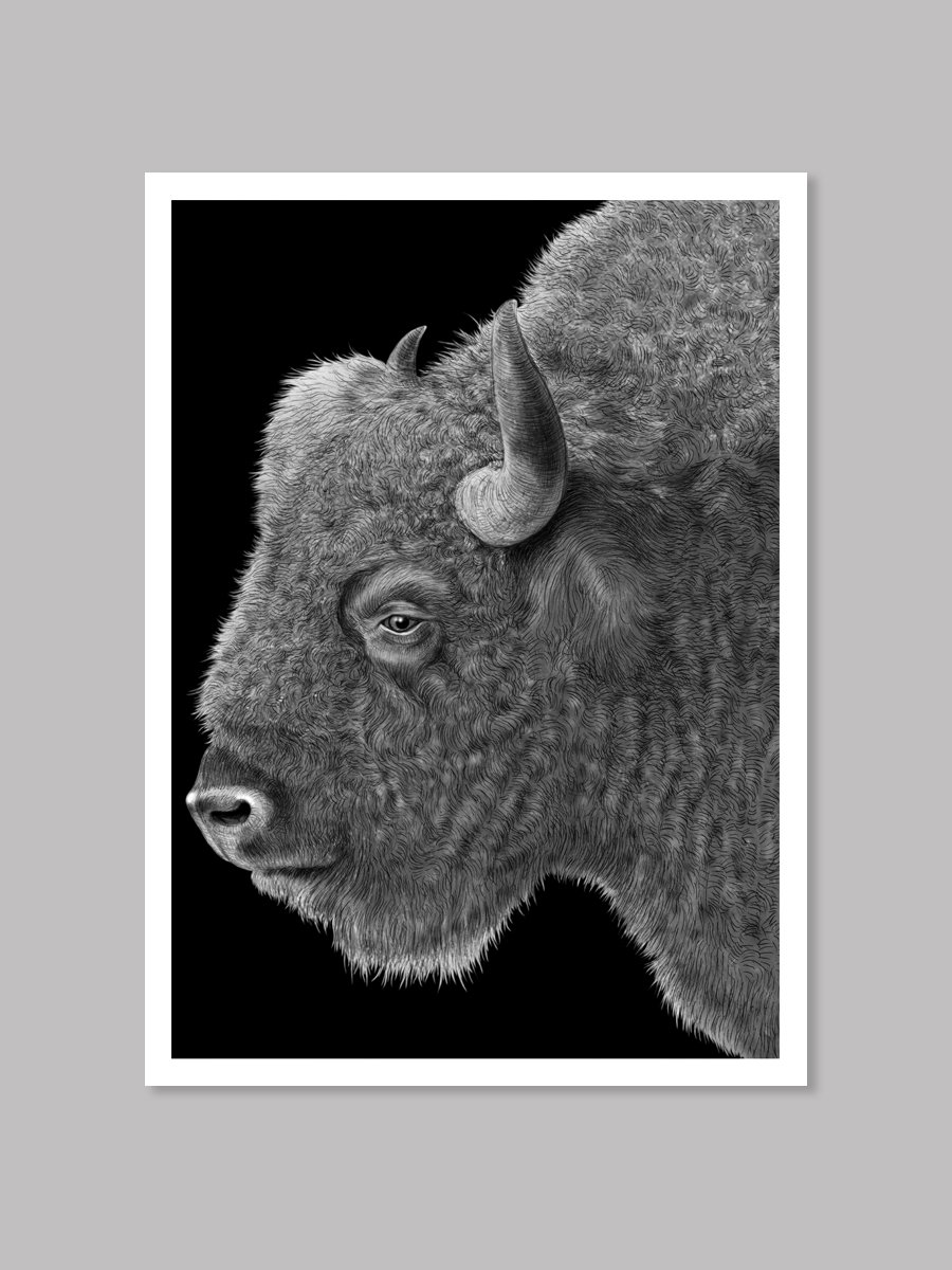 Shop — Tim Jeffs Art