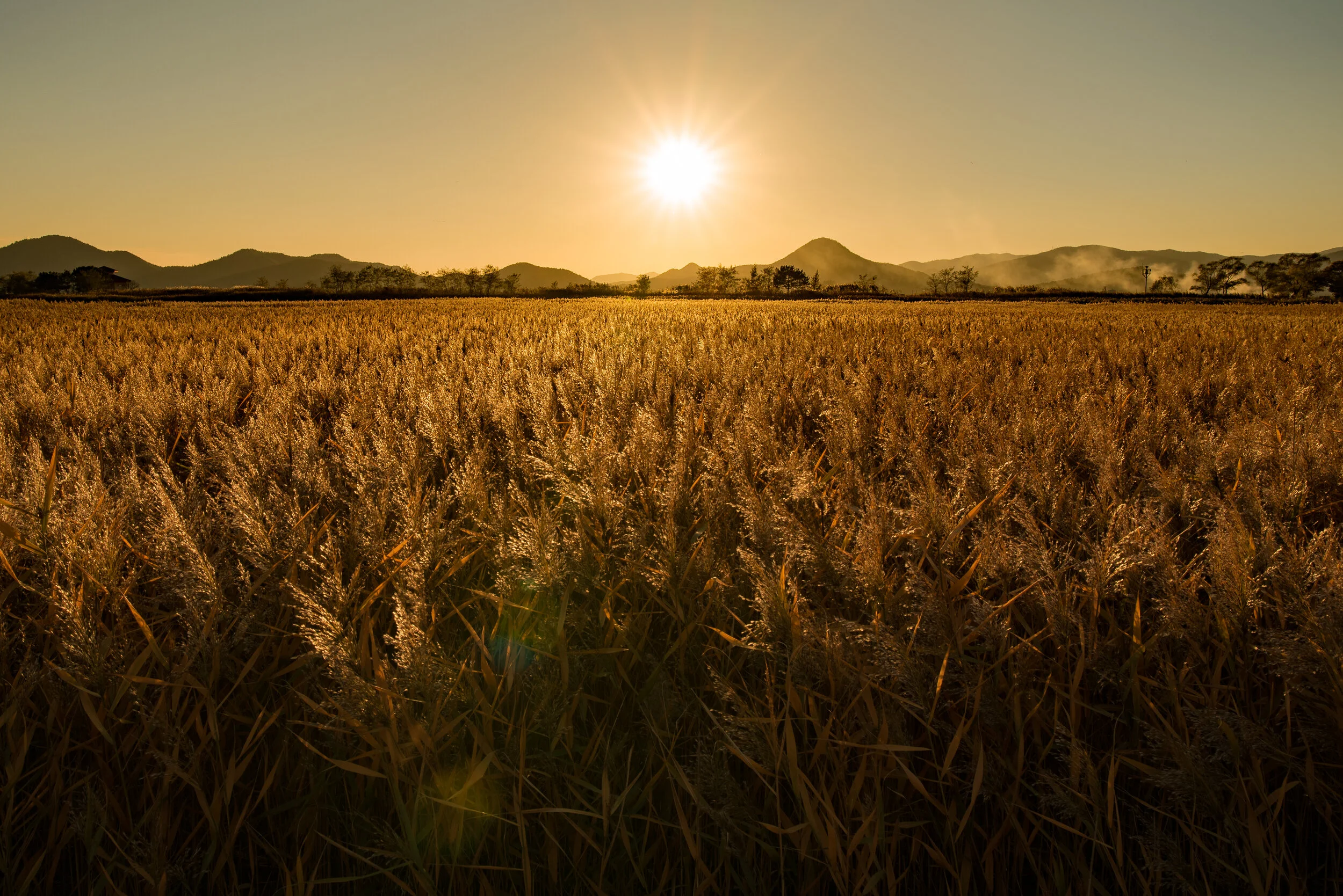 Postern Equity Partners