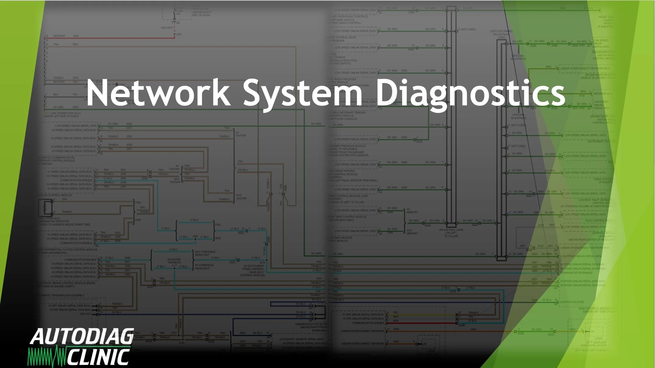Training — Auto Diag Clinic