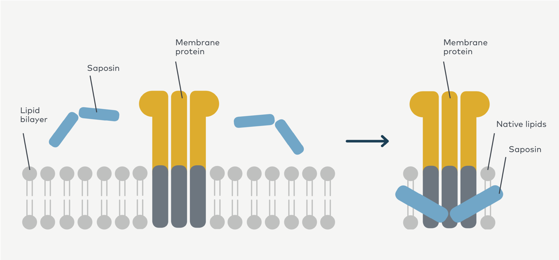 Our Technology — Salipro Biotech AB