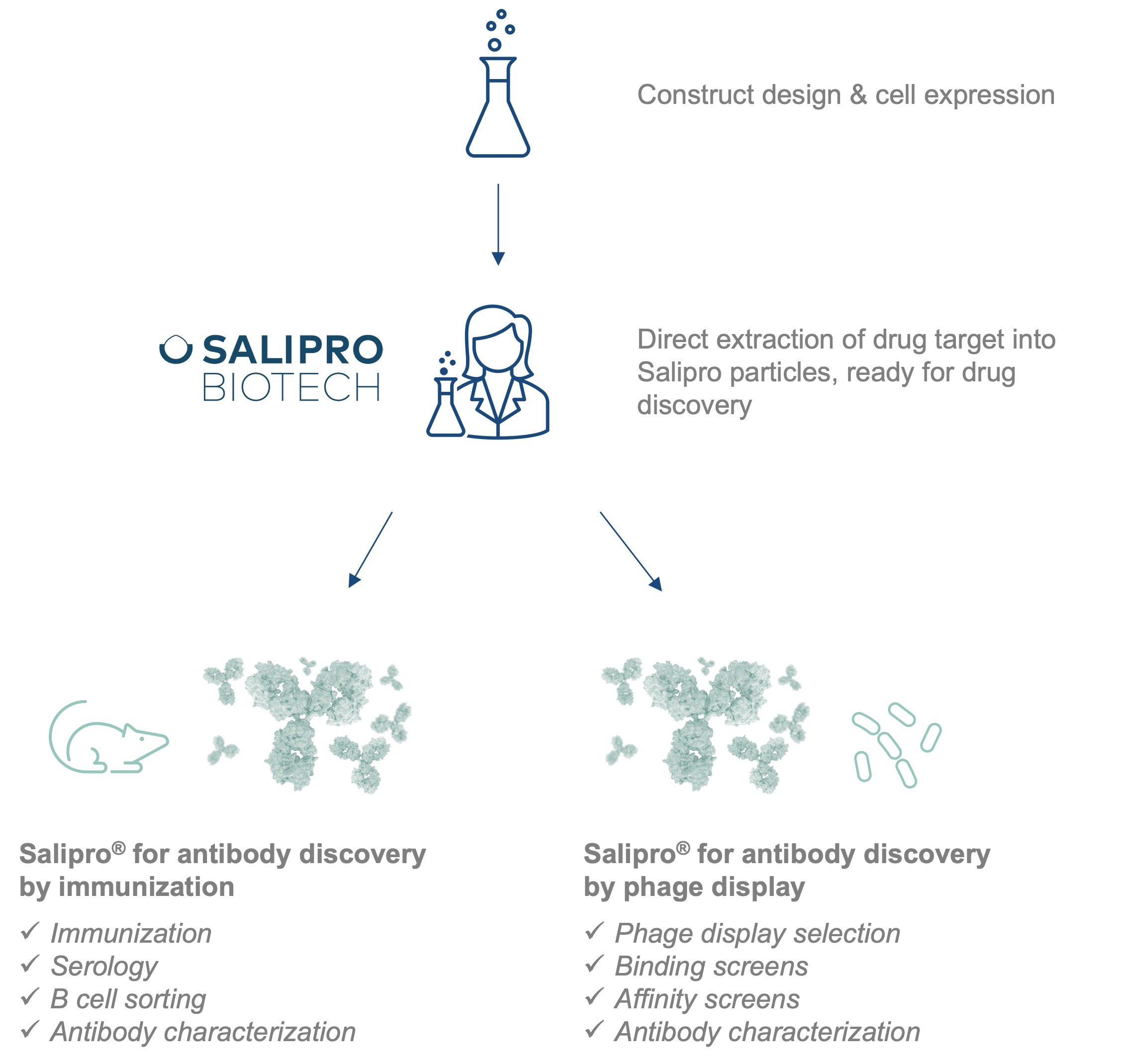 Salipro® for Antibody Discovery — Salipro Biotech AB