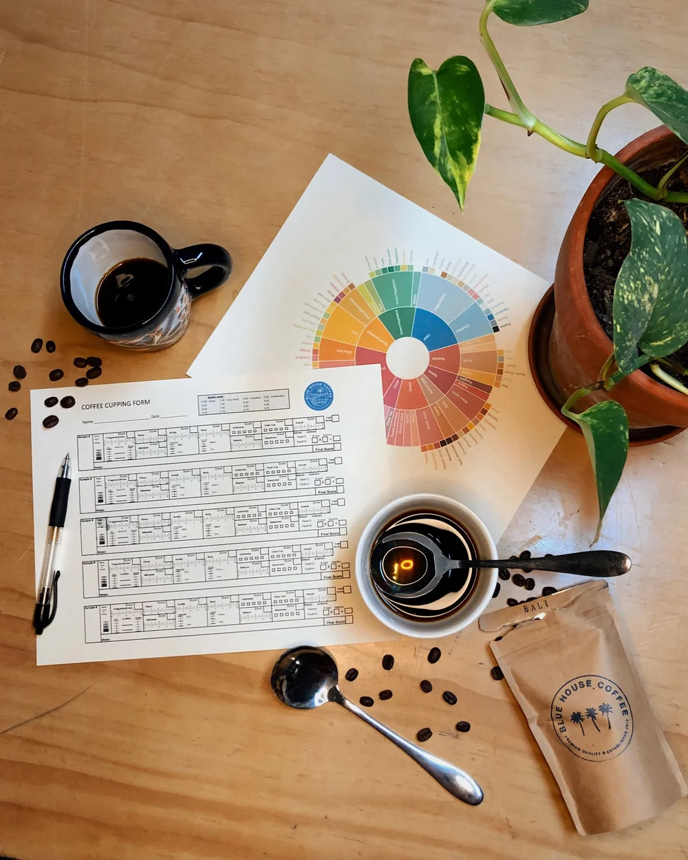 Blog — Blue House Coffee