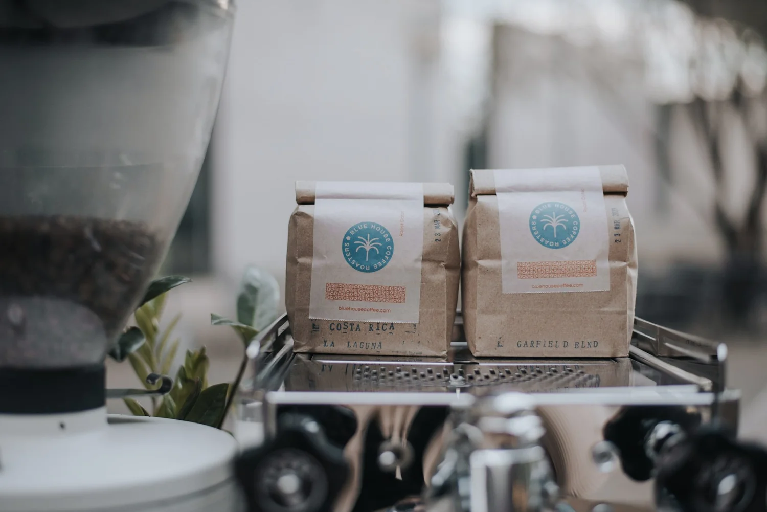 Shop — Blue House Coffee