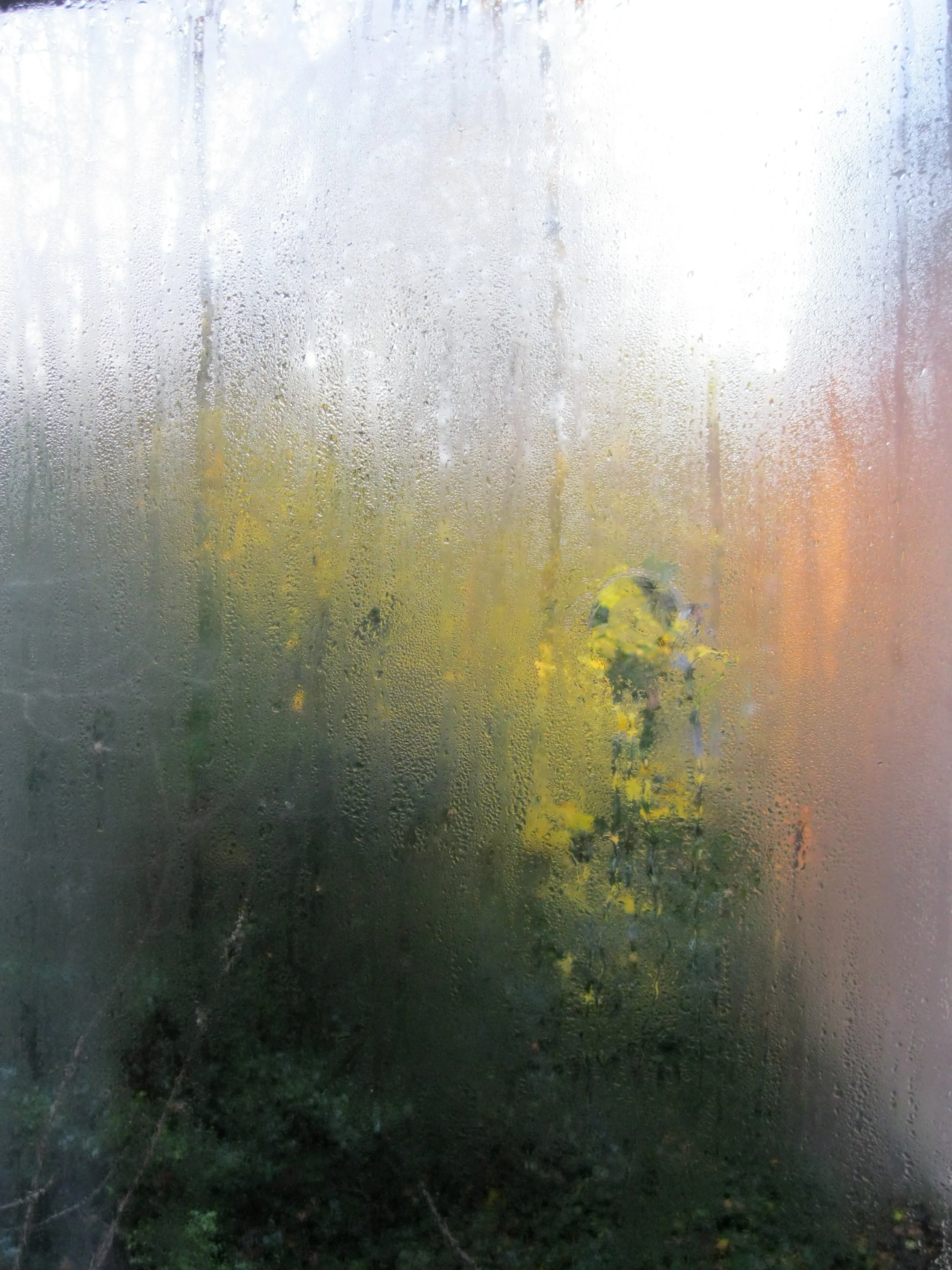 HAUS-A-REST — News From Poet Peter Devonald