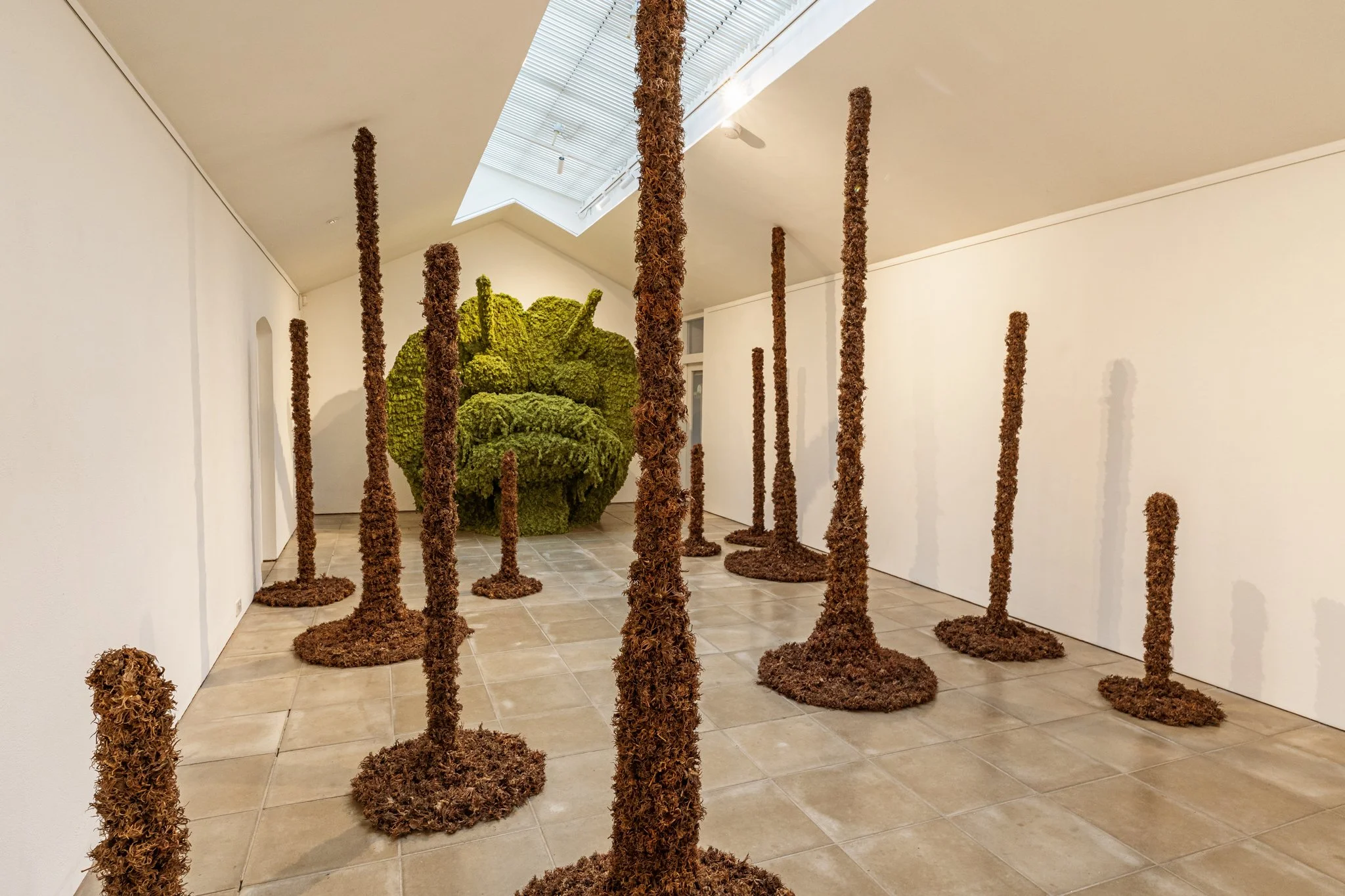 HAUS-A-REST — Featured artist - Olana Light