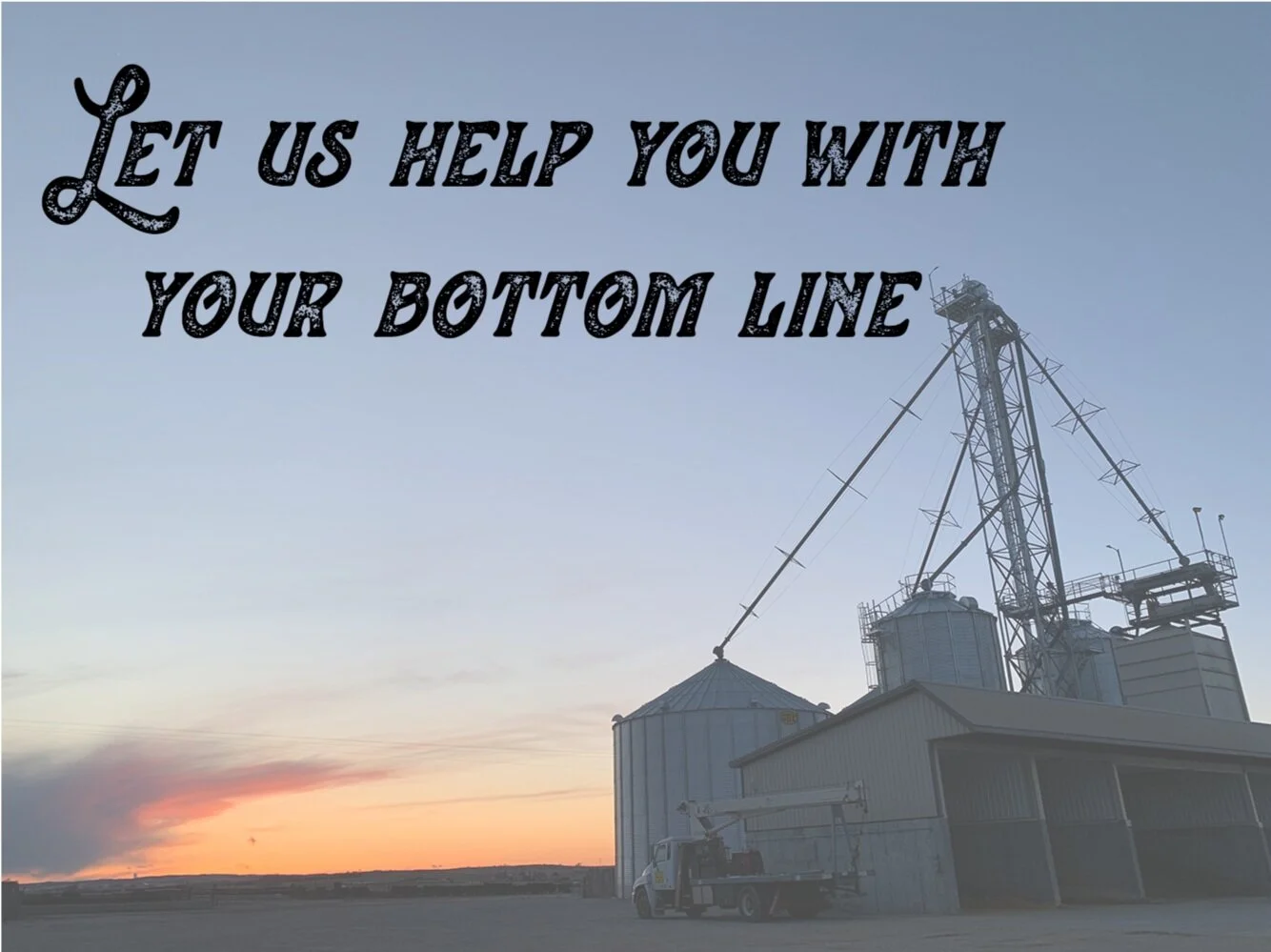 Services — Miller Cattle & Feedyards