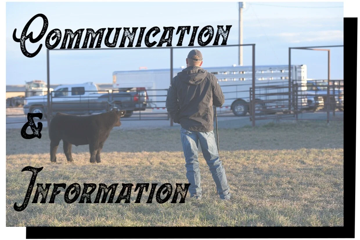 Services — Miller Cattle & Feedyards